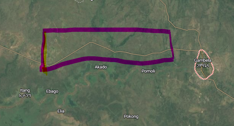 Temporary Settlements Along the Tharpaam–Gambella Road: A Response to ...